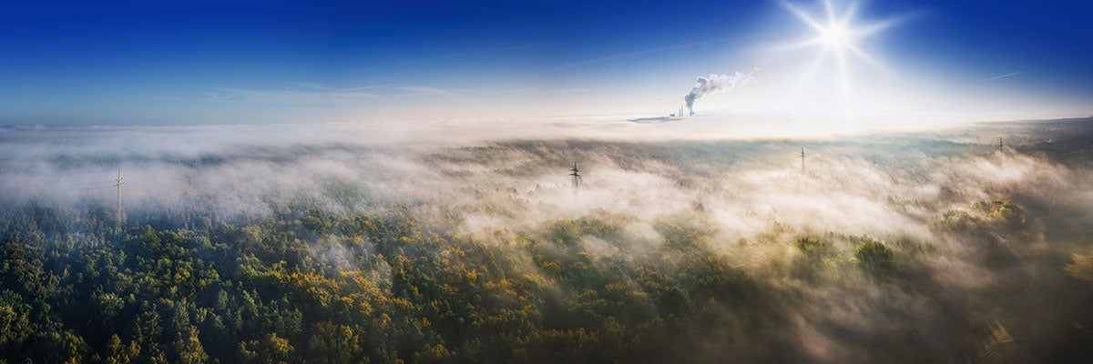 Making the shift to a greener world